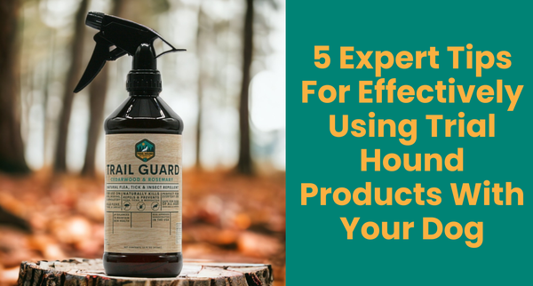 5 Expert Tips for Effectively Using Trail Hound Products on Hiking Adv ...