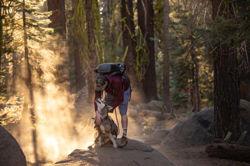 The Ultimate Guide to Hiking with Your Dog – Trail Hound Supply Co.